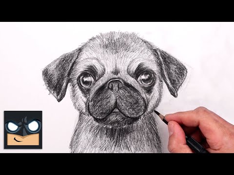 How To Draw a Pug - Sketch Art Lesson (Step by Step)
