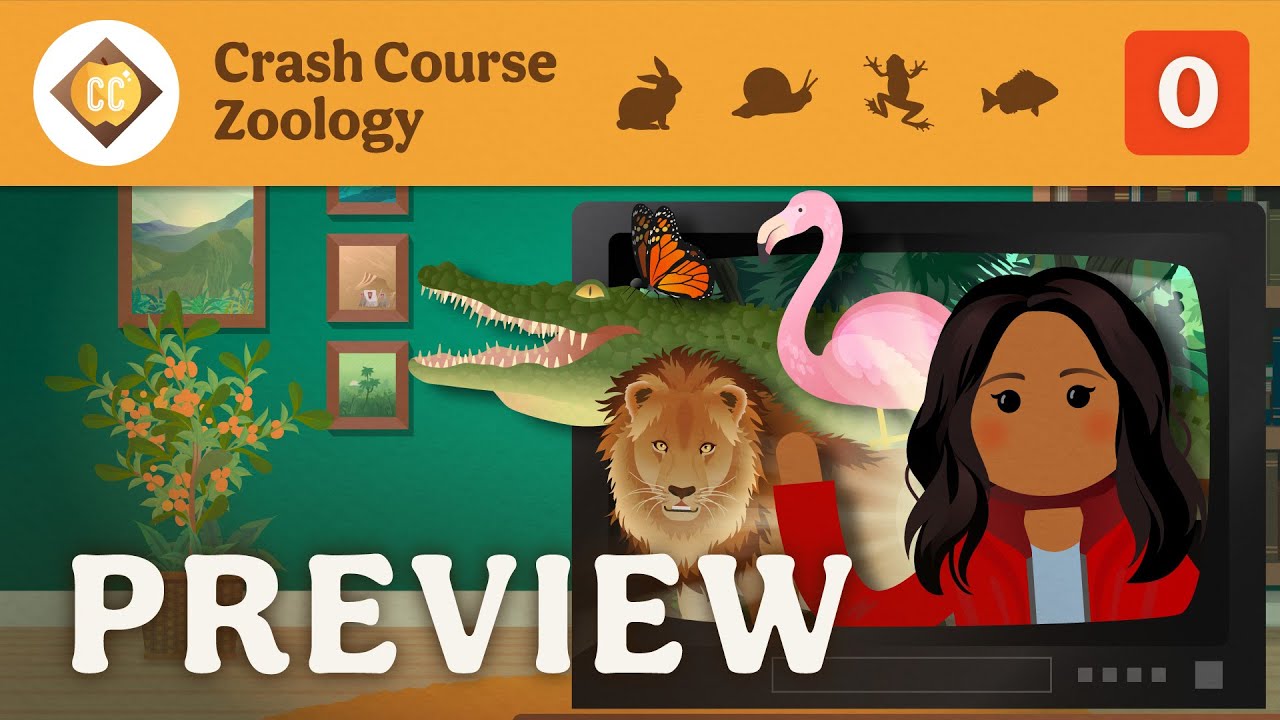 - Crash Course Zoology Preview