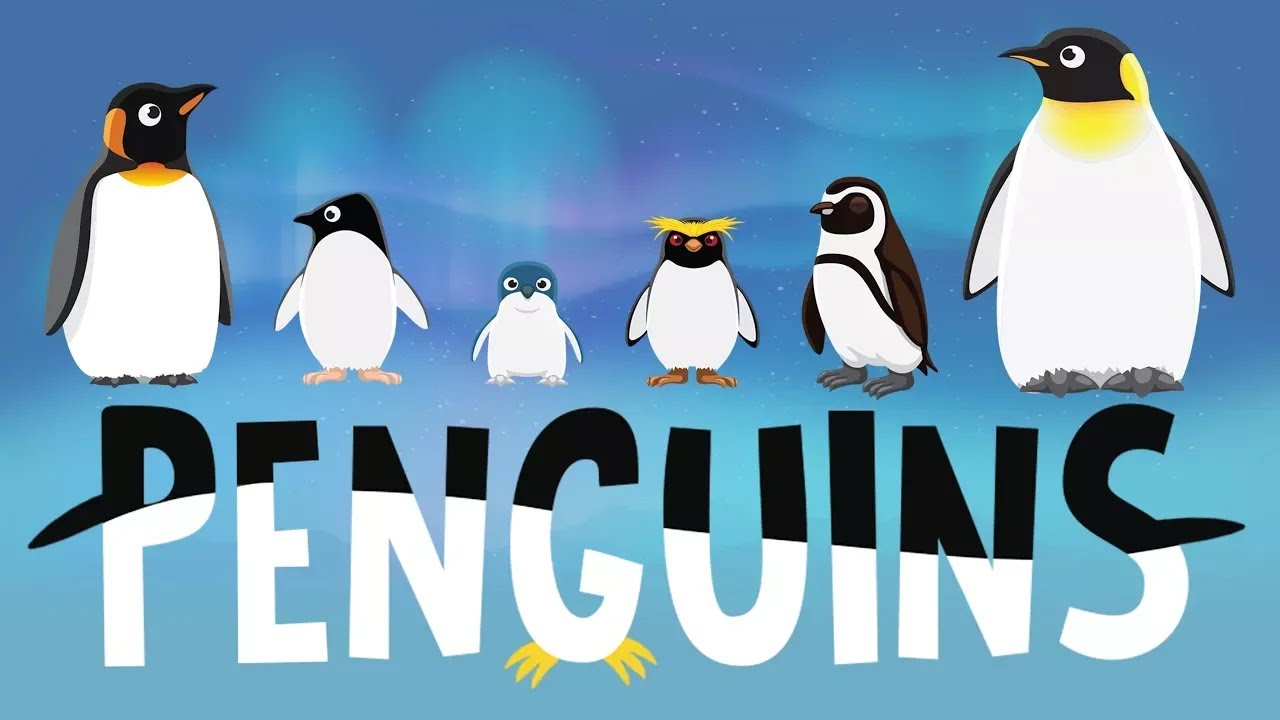 Penguins For Kids Penguins For Kids Interesting Facts Different penguins-for-kids-penguins-for-kids-interesting-facts-different