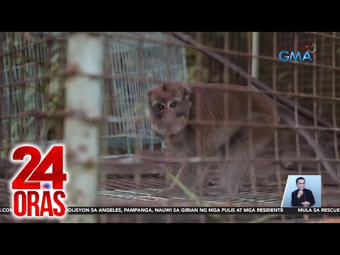 Angat River System na nagsu-supply ng 90% ng tubig sa Metro Manila ...