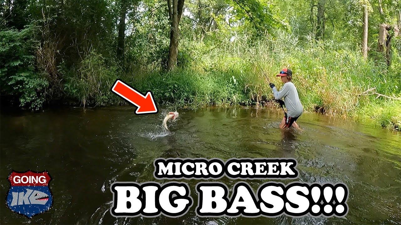 Exploring MICRO stream for BIG Bass!!! (Multi Species!!!) Bass Fishing ...