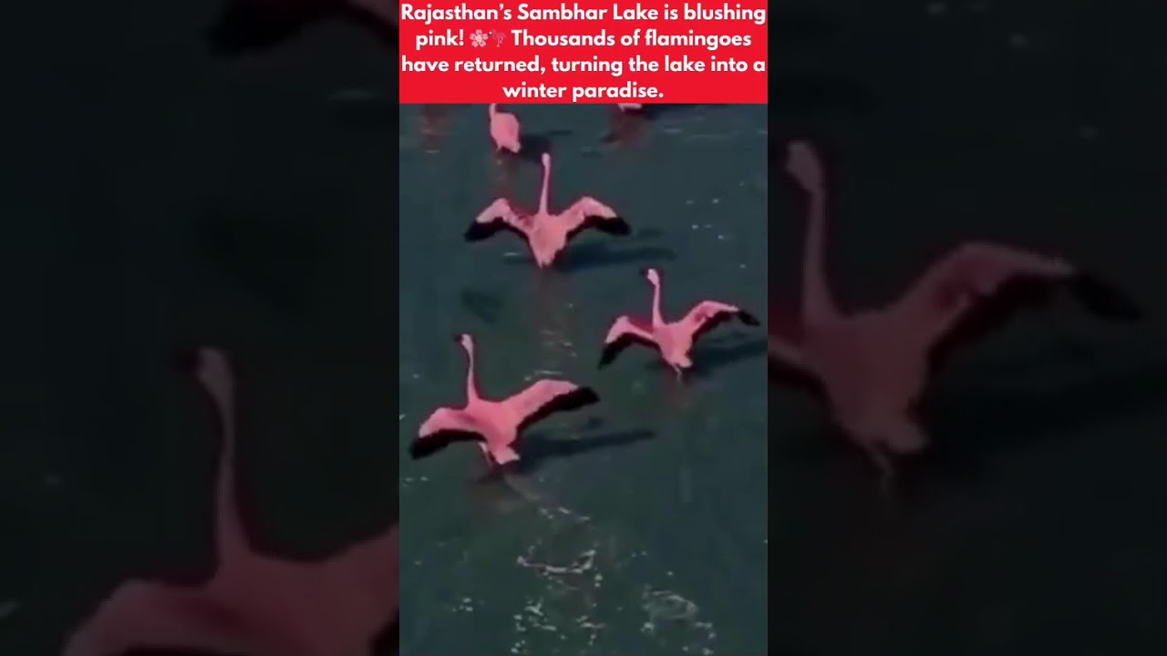 Top 6 Winter Destinations in Maharashtra for a Refreshing Christmas ...