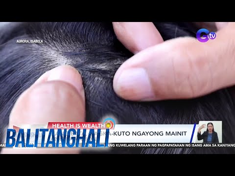 Batang babae, ginupitan ng buhok dahil sa dami ng kuto | Videos | GMA News Online
